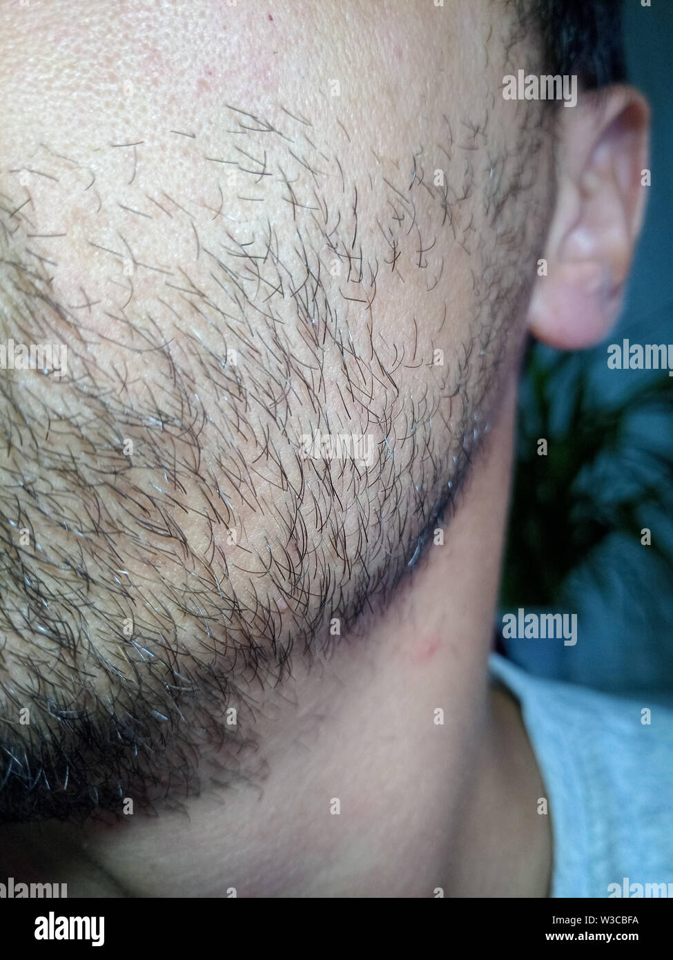 Bearded young man, stubble near. Unshaven more than a week. Hair on the ...