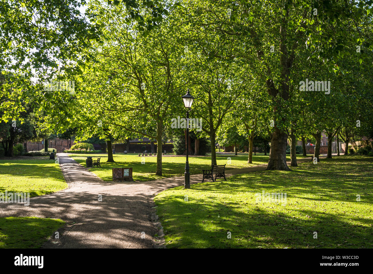 The Vines - a Well-kept, serene green space used as a setting in ...