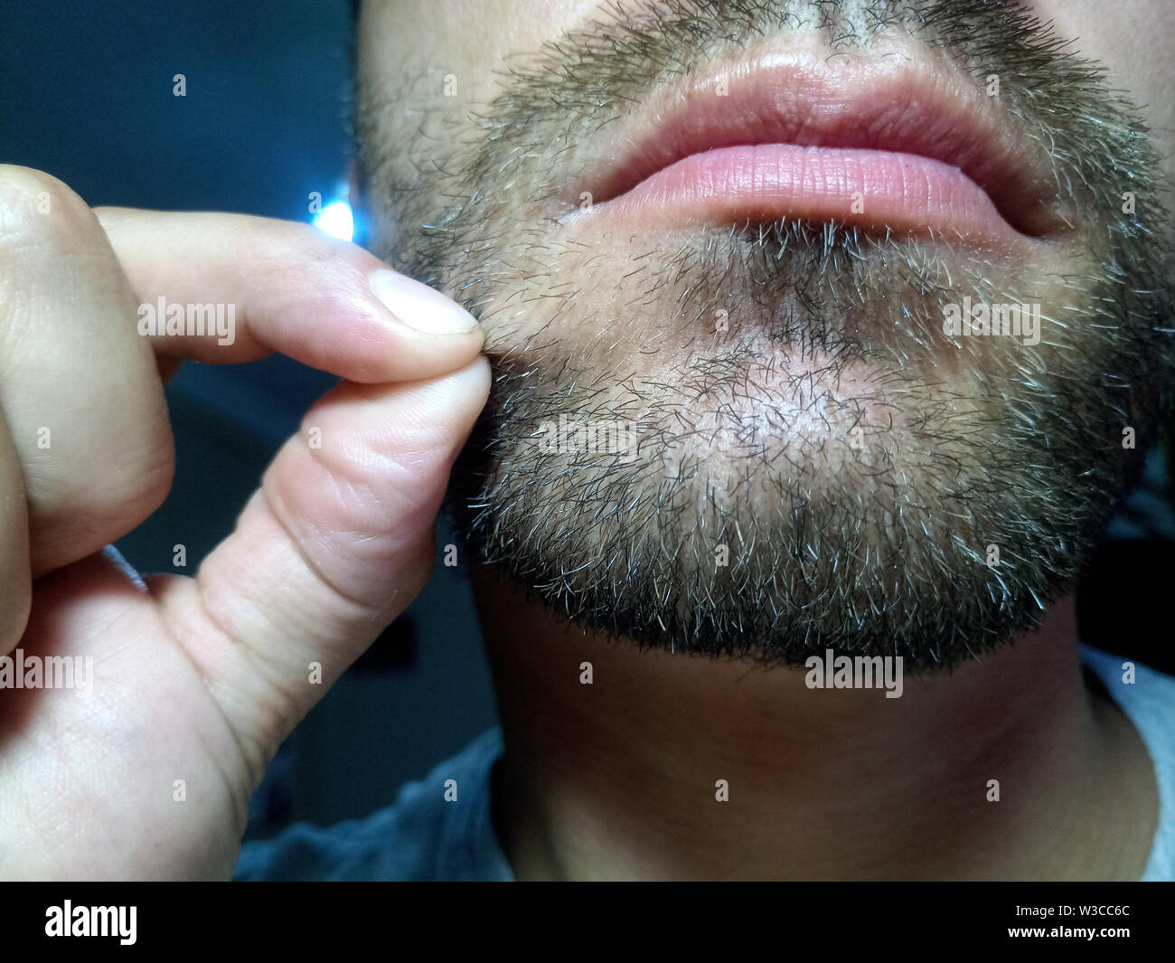 Bearded young man, stubble near. Unshaven more than a week. Hair on the ...