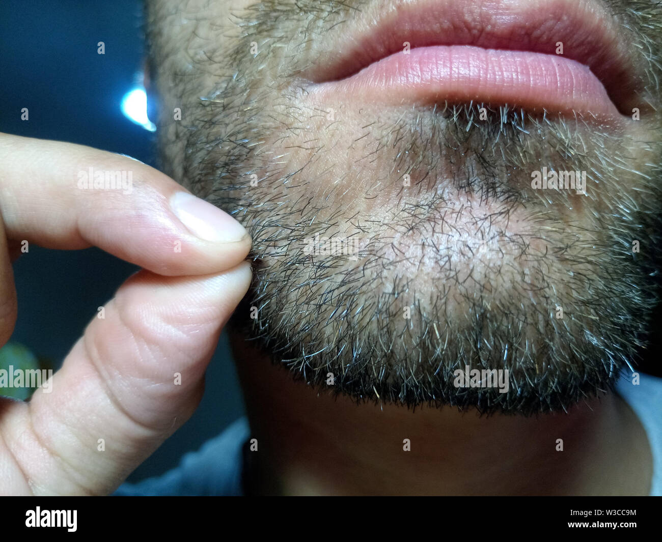 Bearded young man, stubble near. Unshaven more than a week. Hair on the ...