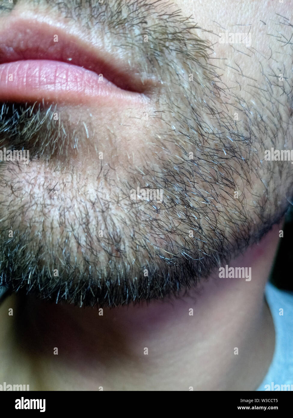Bearded young man, stubble near. Unshaven more than a week. Hair on the ...