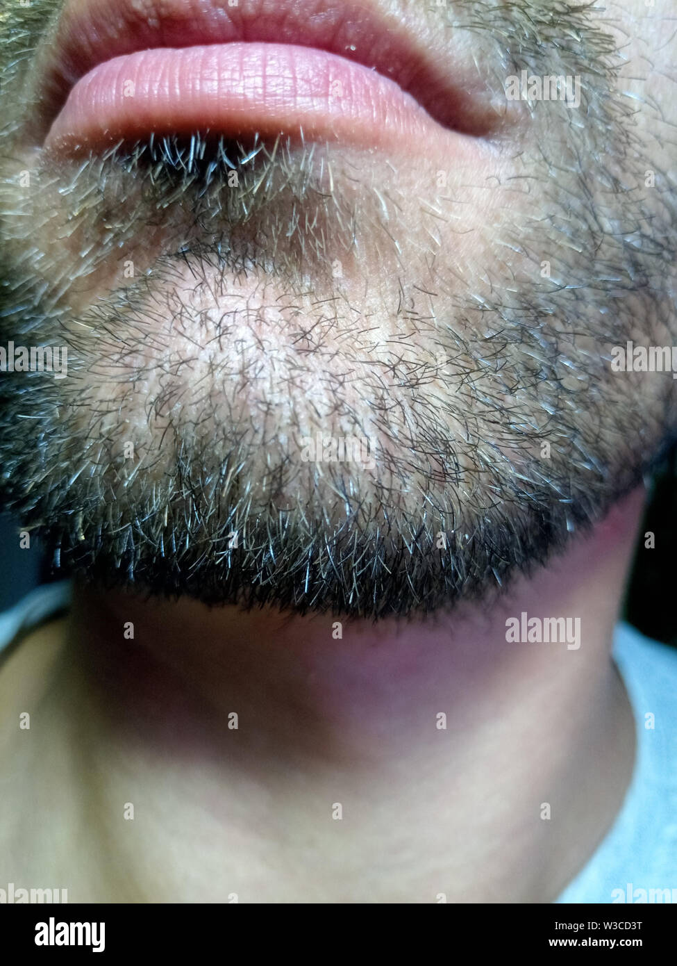 Bearded young man, stubble near. Unshaven more than a week. Hair on the ...