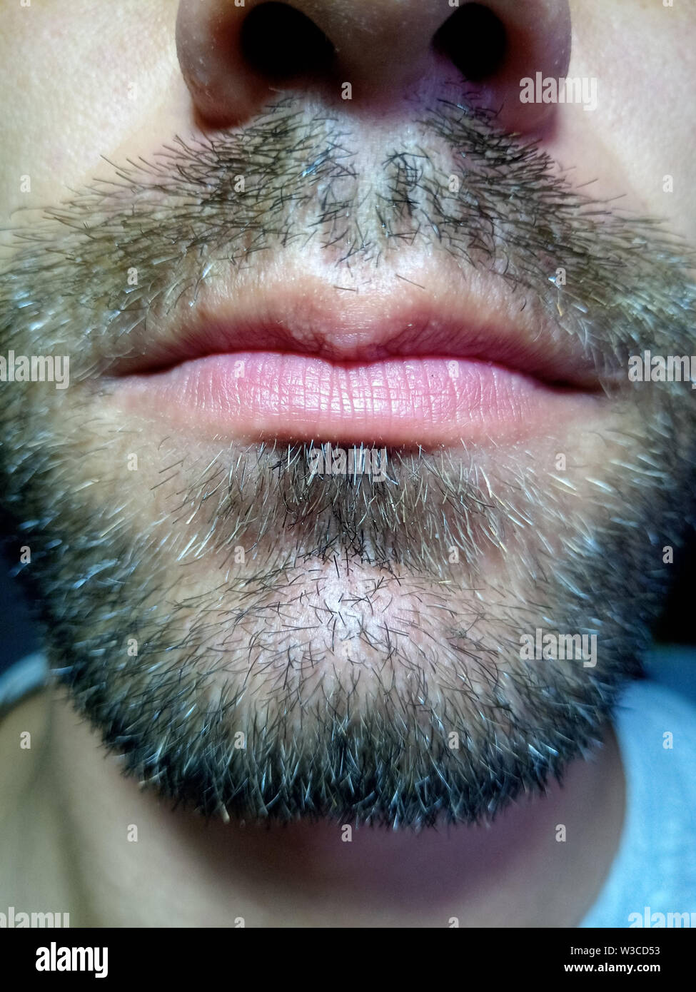 Bearded young man, stubble near. Unshaven more than a week. Hair on the ...