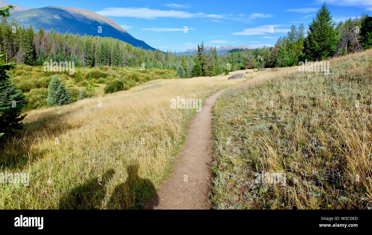 shadows of two people on the hiking trail Stock Photo - Alamy
