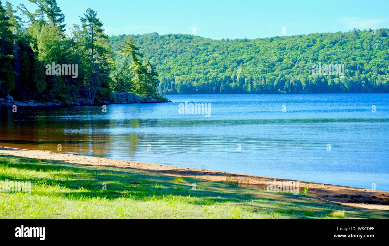 a sandy beach at the lake surrounded by woodland Stock Photo - Alamy