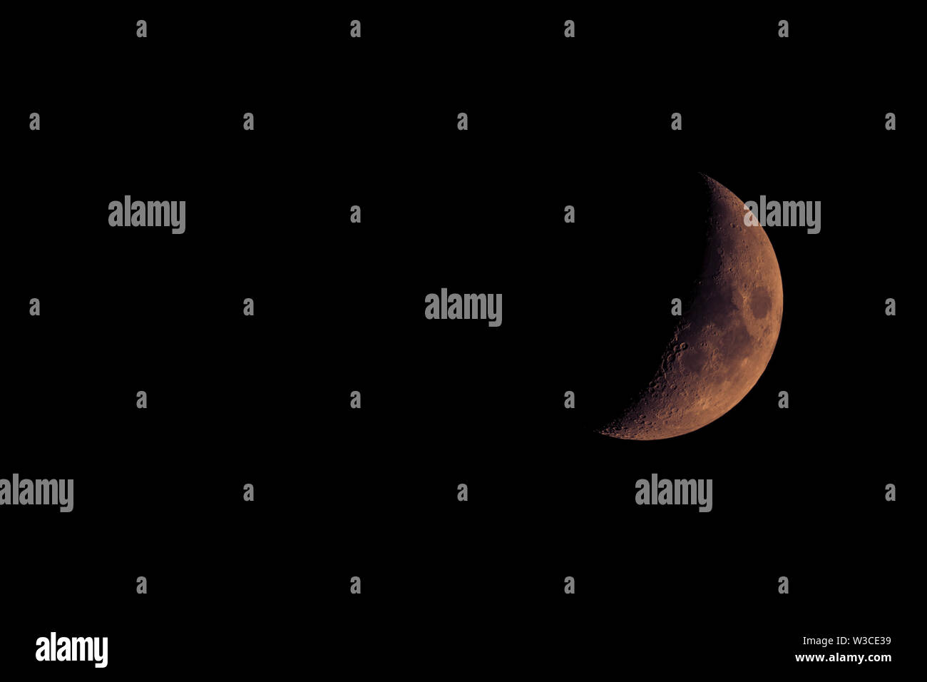 Close up night european golden half-moon phase with details of crater ...