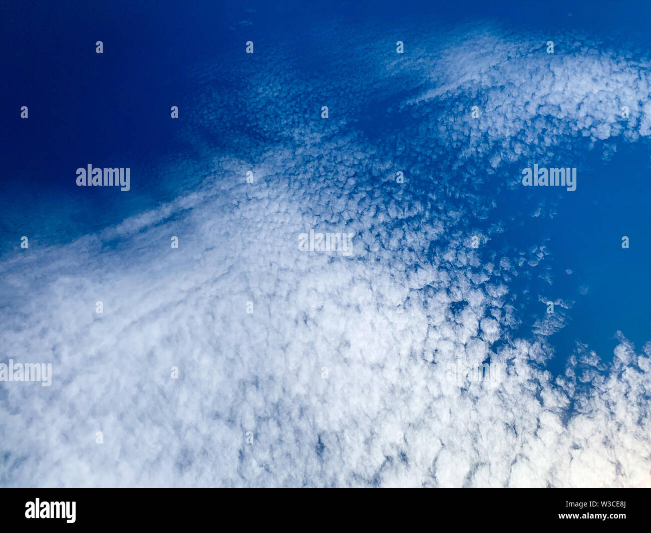 Cirrocumulus clouds are small rounded puffs that usually appear in long ...