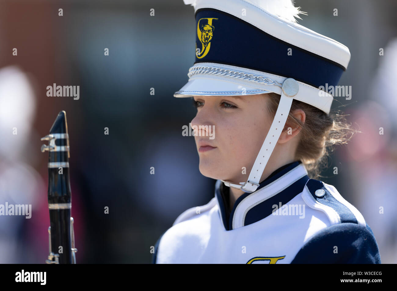 Marching bears hi-res stock photography and images - Alamy