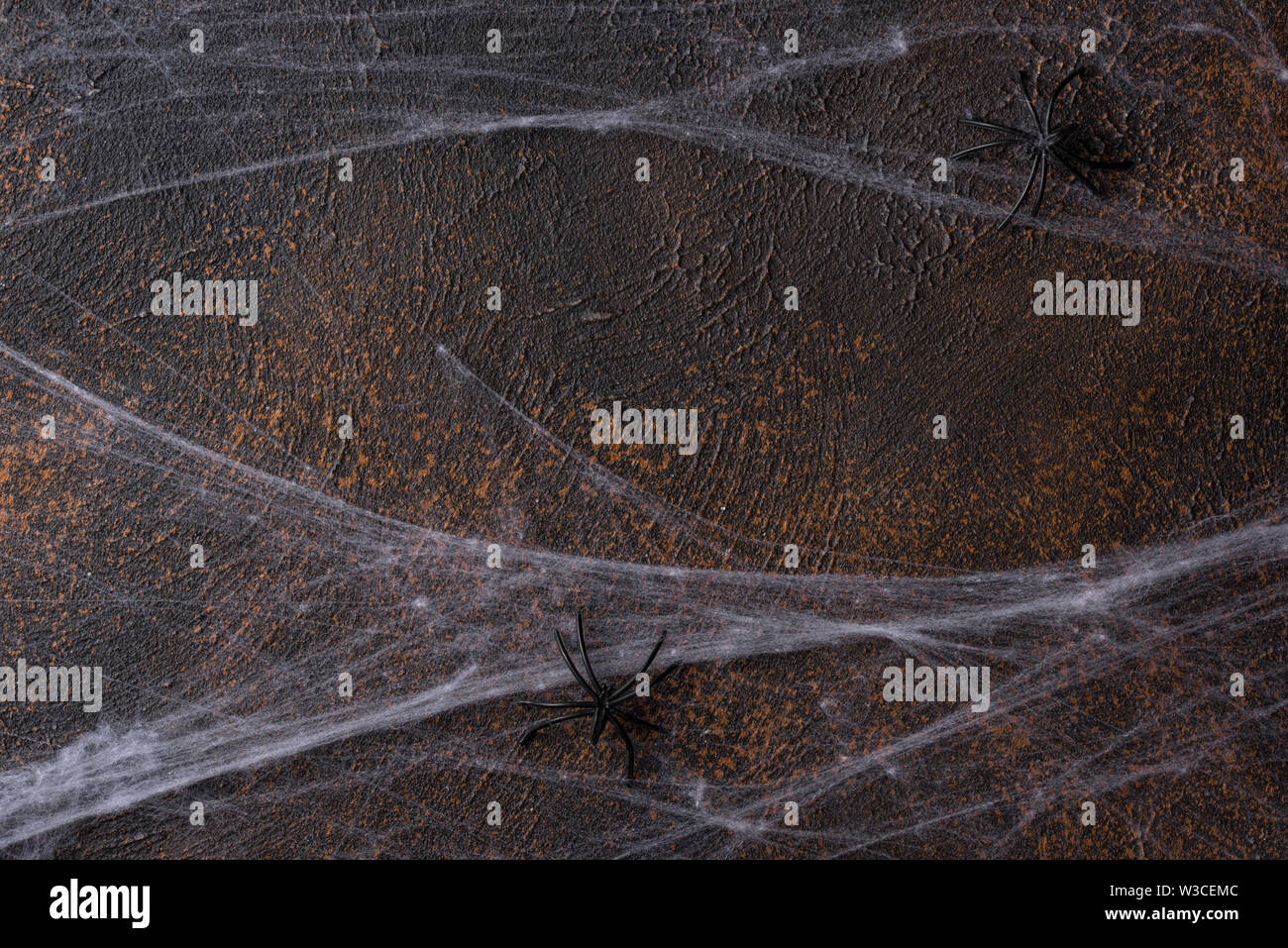 Halloween background with spider web Stock Photo - Alamy