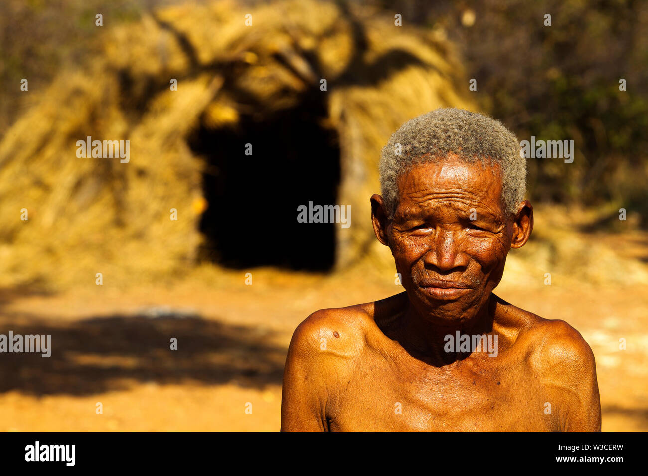 Bushman grass hi-res stock photography and images - Alamy