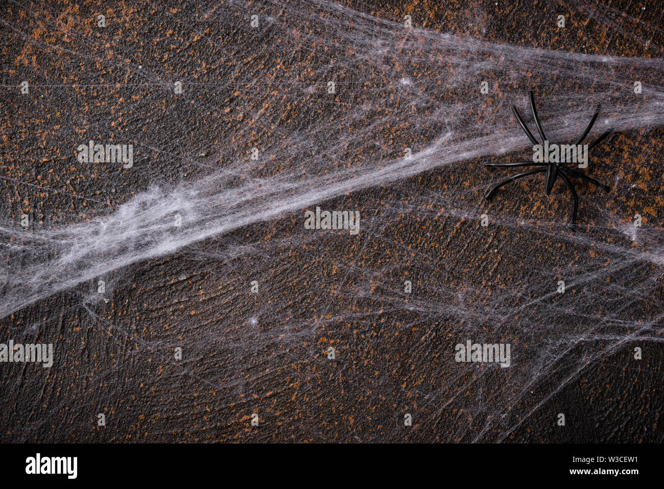 Halloween background with spider web Stock Photo - Alamy