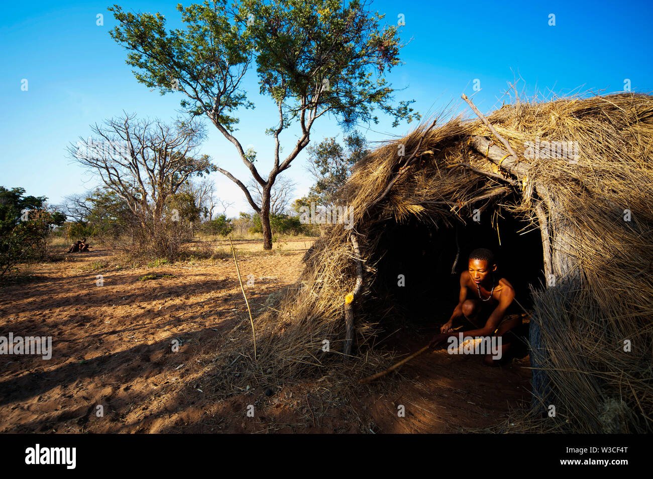 Ju/'Hoansi or San bushmen on a grass hut at their village, Grashoek ...