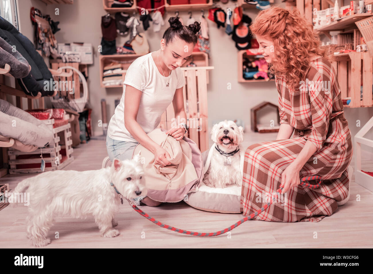 Friends with dogs. Two best friends feeling amazing meeting while ...