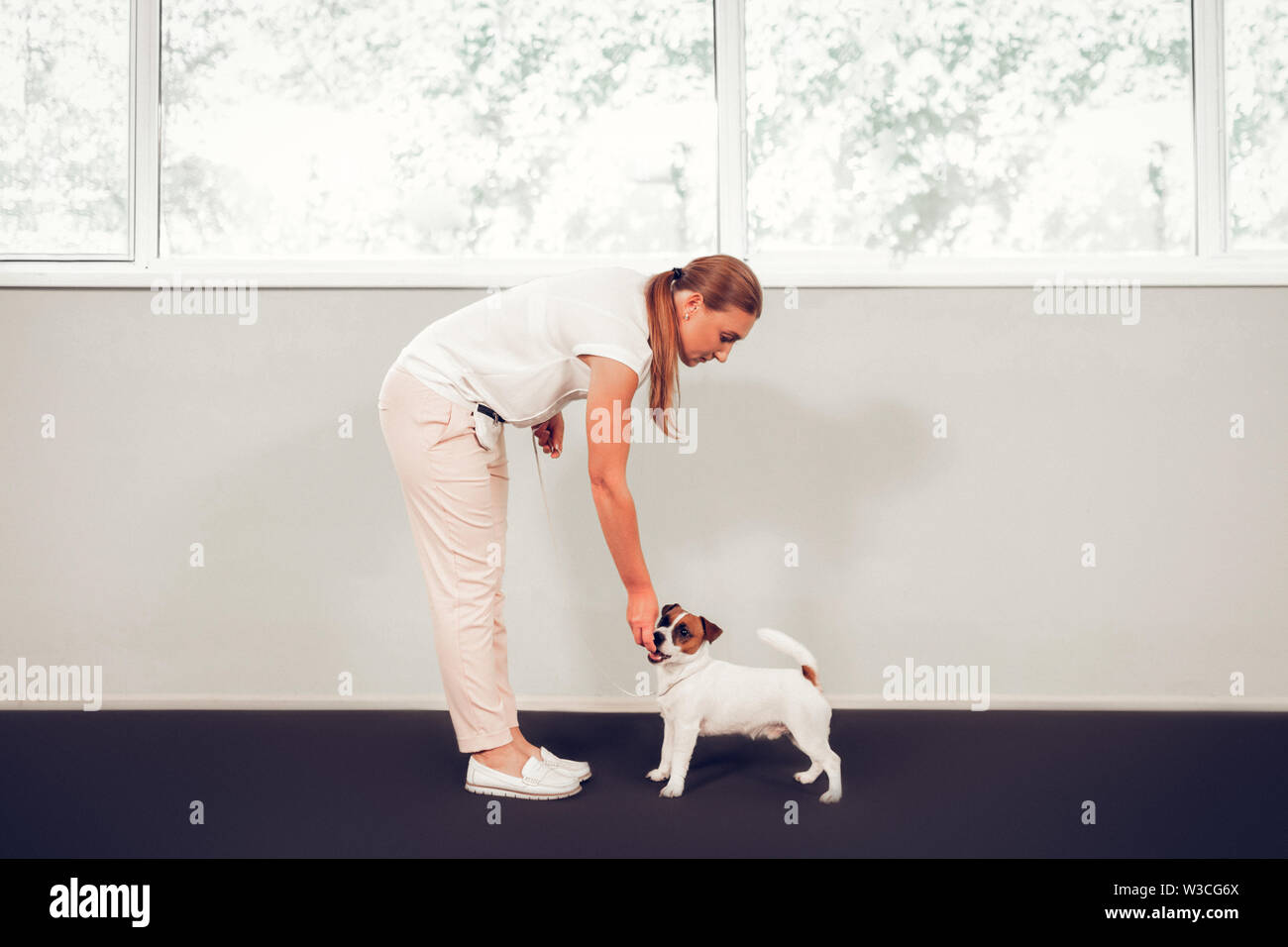 Care of dog. Woman loving animals greatly taking care of cute dog ...