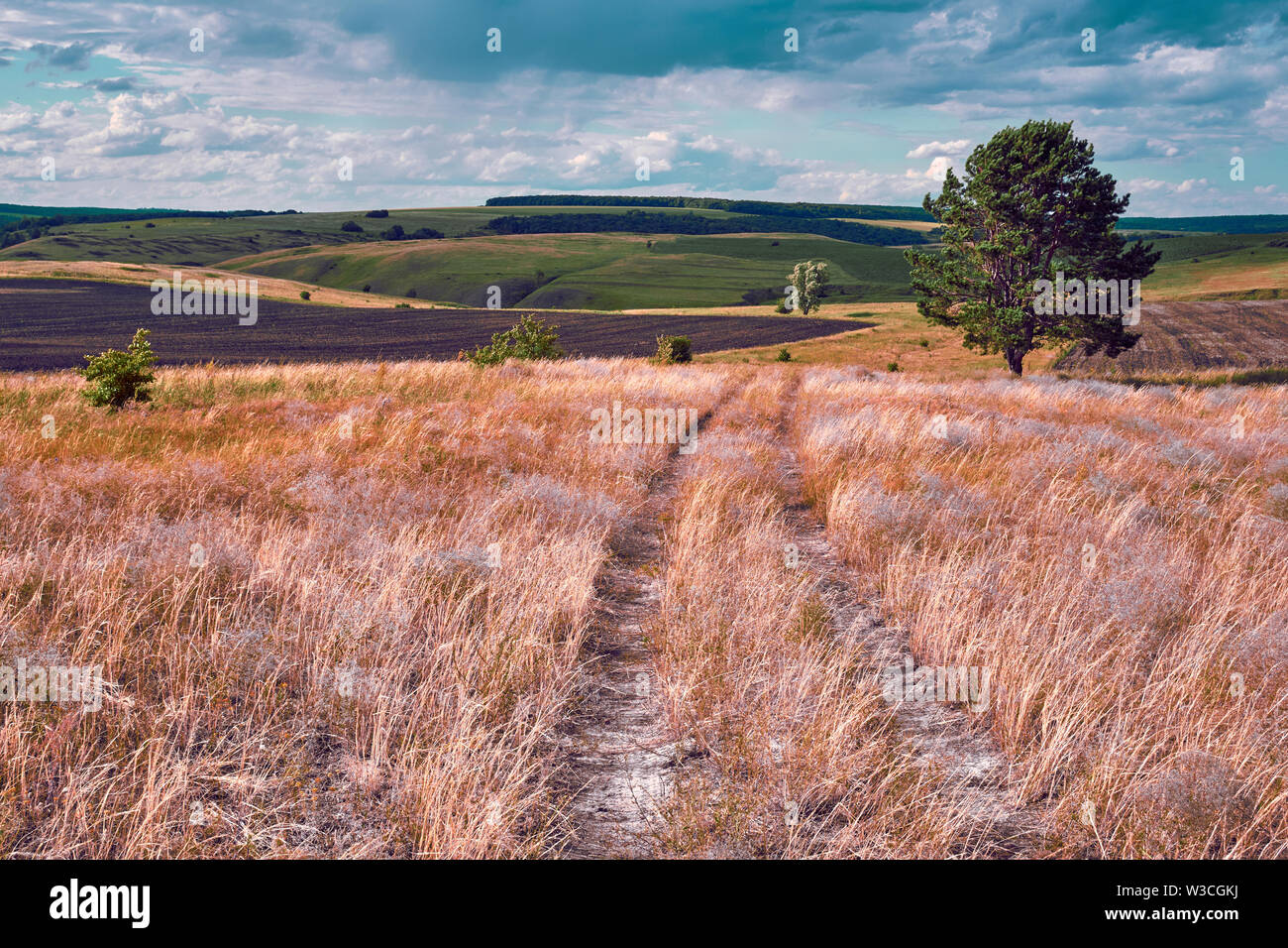 Central Russia agricultural countryside with hills and country road ...