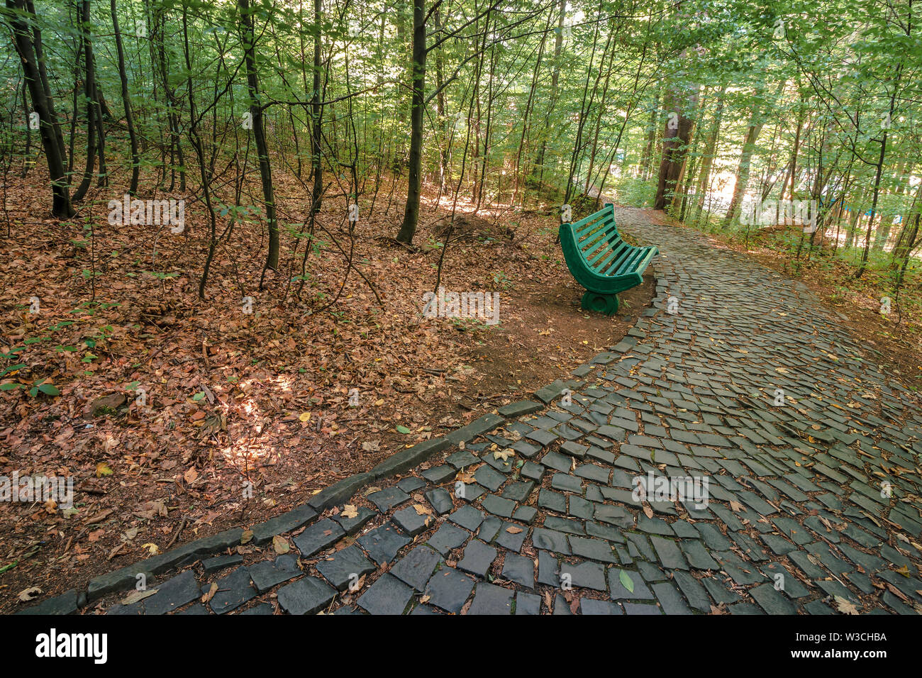 bench near the stone path in forest. beautiful nature scenery. green ...