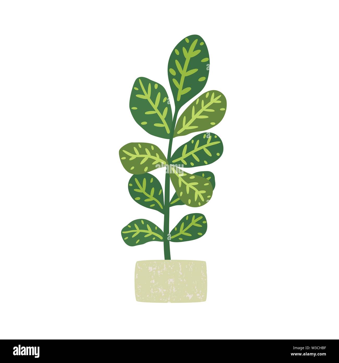 Codiaeum variegatum. Houseplant with potted. Vector illustration Stock ...