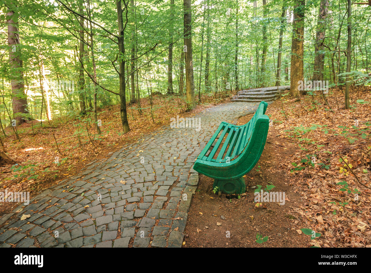 bench near the stone path in forest. beautiful nature scenery. green ...