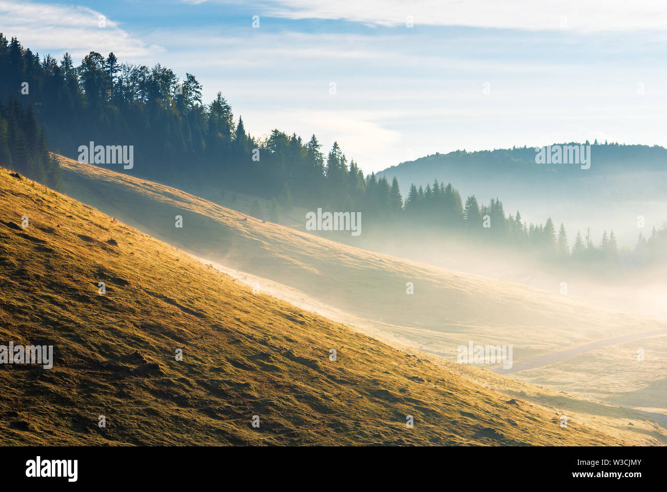 Grass texture overlay hi-res stock photography and images - Alamy