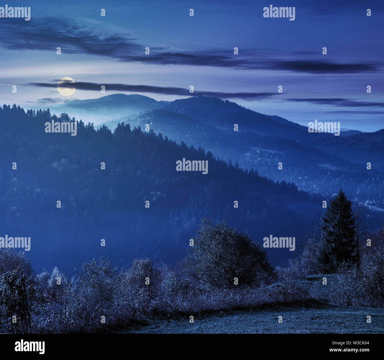 beautiful countryside in mountains at night in full moon light. trees ...