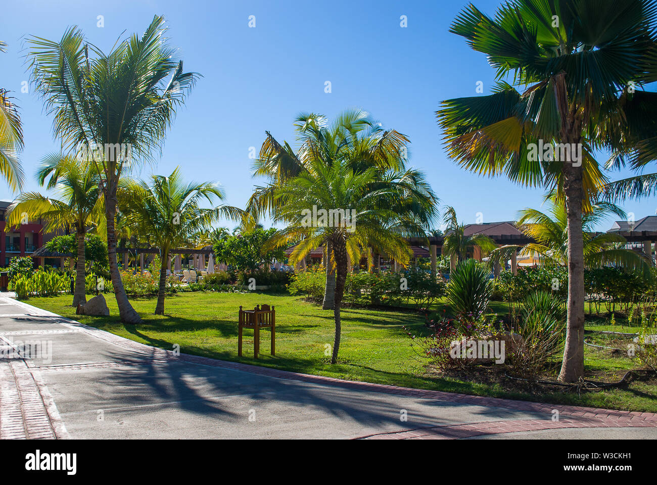 Gardens of luxury holiday resort with green grass and palms growing ...