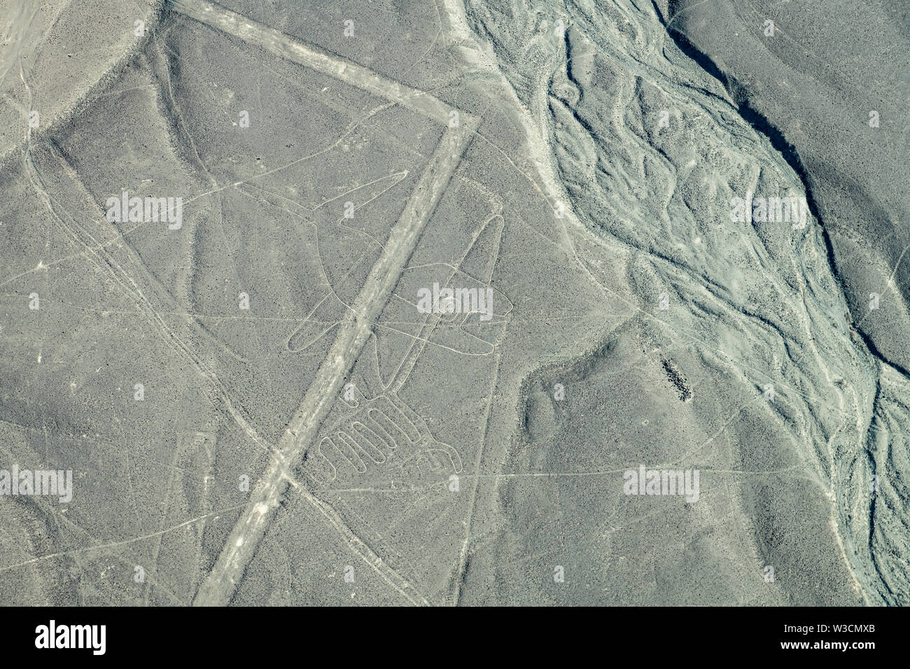 Whale Biomorph at Nazca Lines in Peru Stock Photo - Alamy