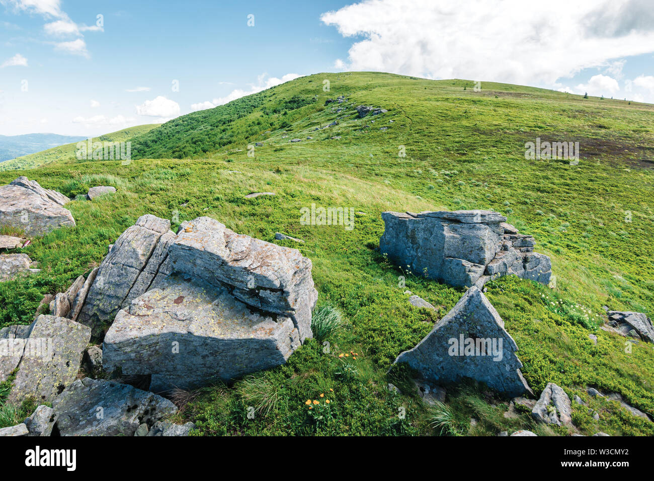 beautiful summer landscape in mountains. grassy meadows, rocks and ...