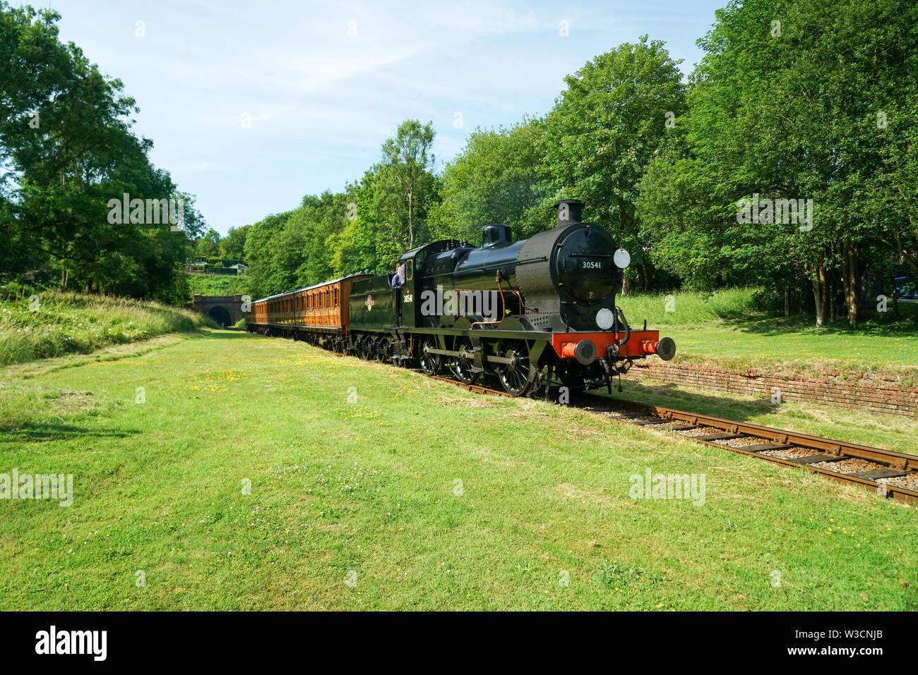 Bluebell Railway Q Class Locomotive & Vintage Carriages at Site of West ...