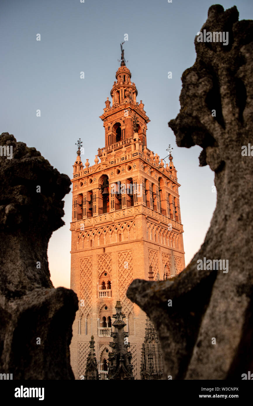 The Giralda tower from the Seville, Spain Cathedral. The tower was ...