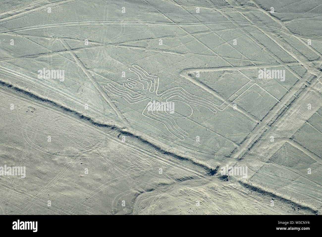 Nazca lines spider peru hi-res stock photography and images - Alamy