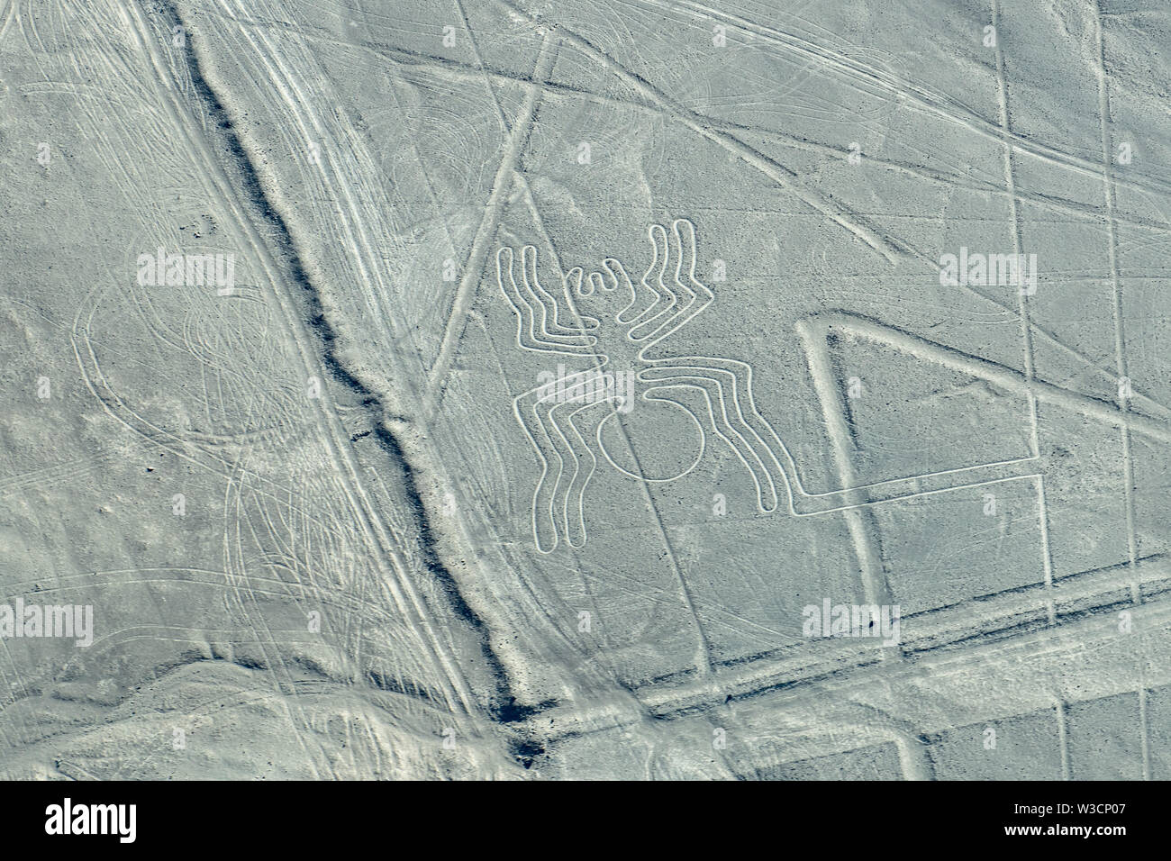 Nazca lines spider peru hi-res stock photography and images - Alamy