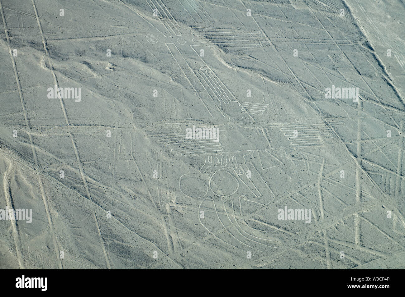 Lizard, Tree and Hands Images at Nazca Lines in Peru Stock Photo - Alamy