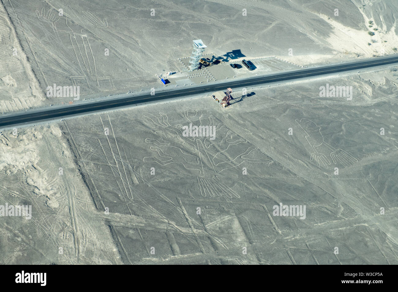 Lizard, Tree and Hands Images at Nazca Lines in Peru Stock Photo - Alamy