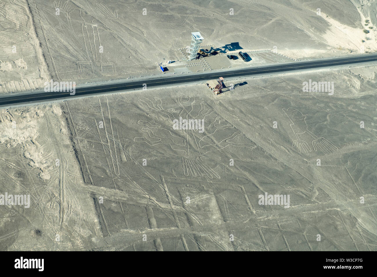 Lizard, Tree and Hands Images at Nazca Lines in Peru Stock Photo - Alamy