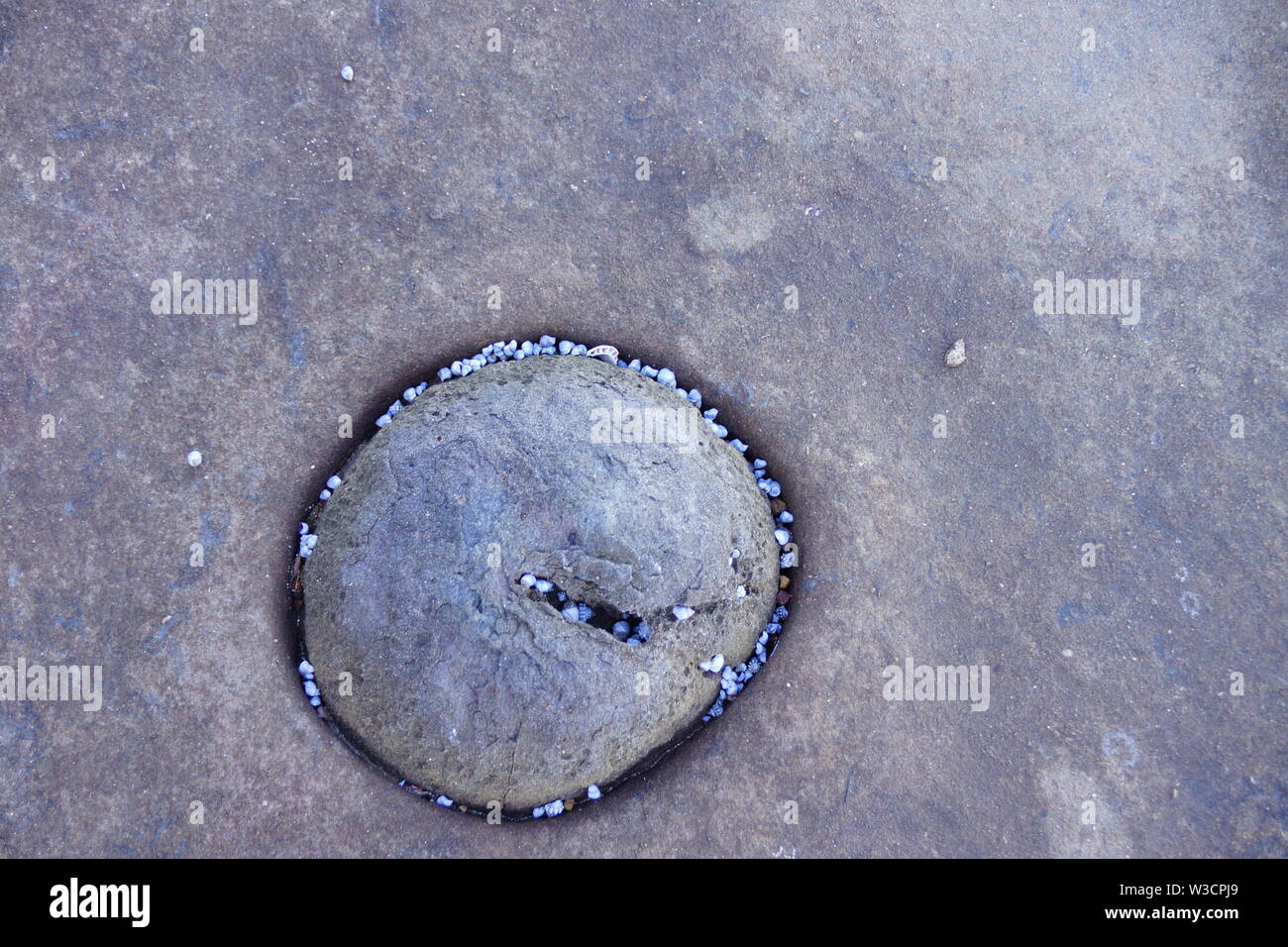 Natural circular crevice at the seaside Stock Photo - Alamy