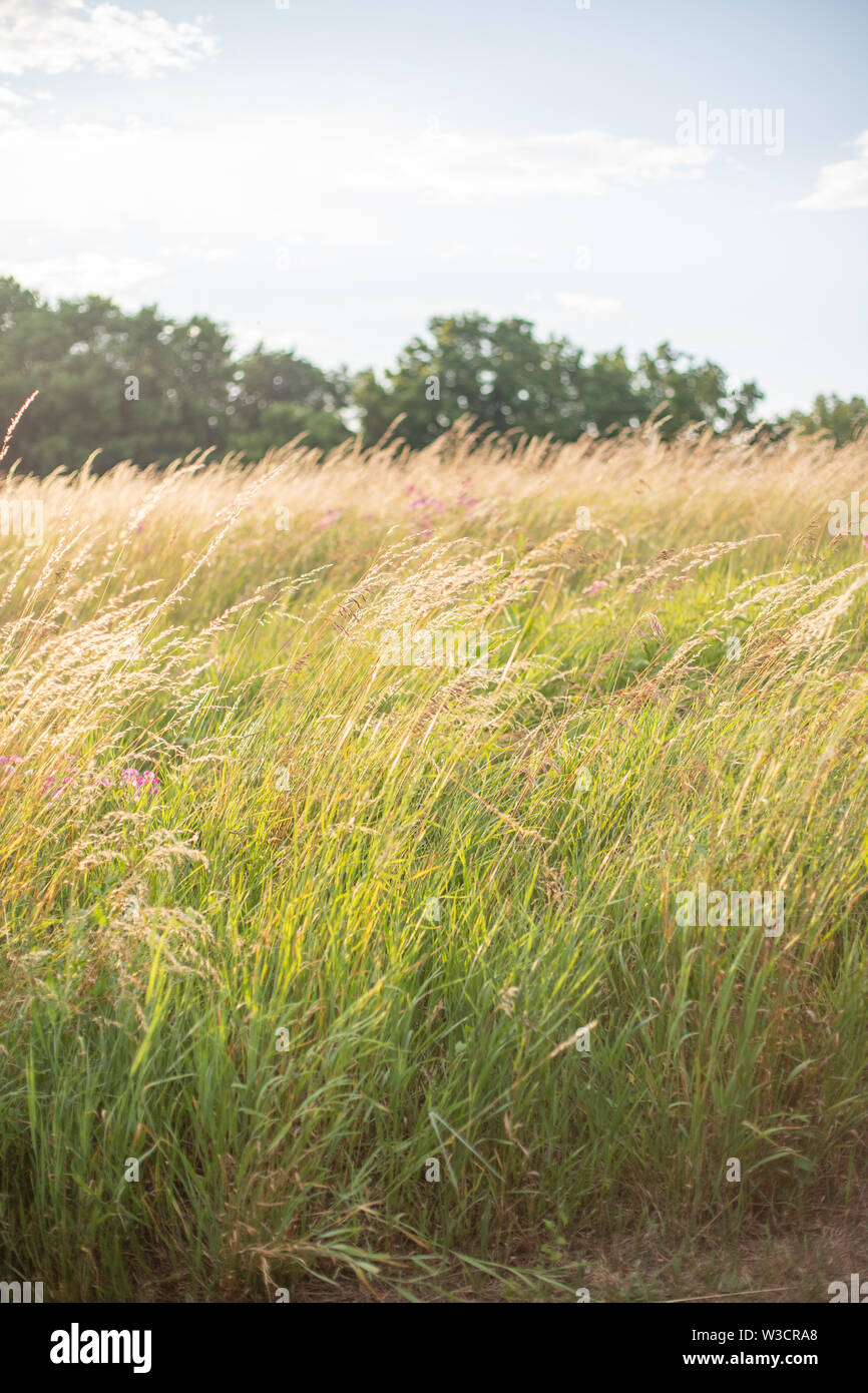 Breezy hi-res stock photography and images - Alamy