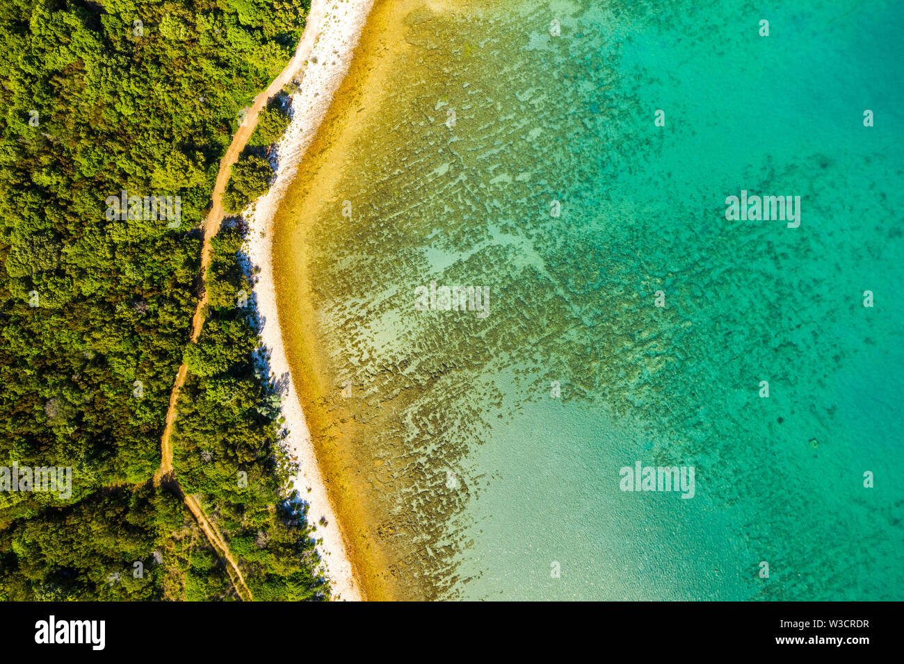 Aerial view coastal pine hi-res stock photography and images - Alamy