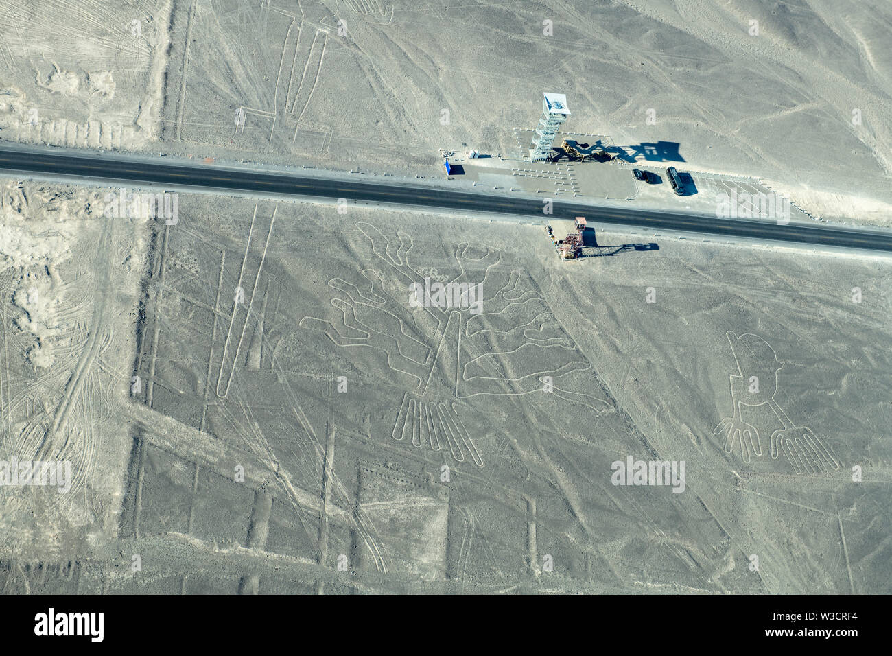 Lizard, Tree and Hands Images at Nazca Lines in Peru Stock Photo - Alamy