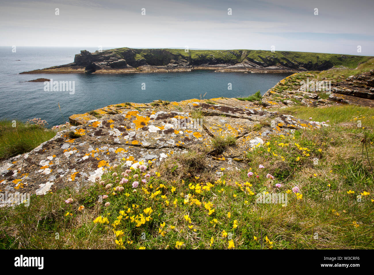 Sea cliffs on the SE tip of South Ronaldsay, Orkneys, Scotland, UK ...