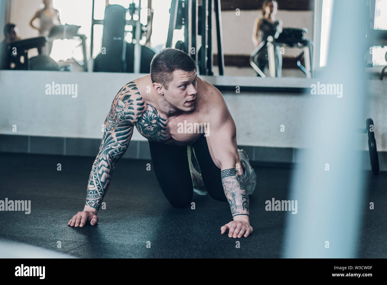 handsome male bodybuilder in training in the gym. strength and ...