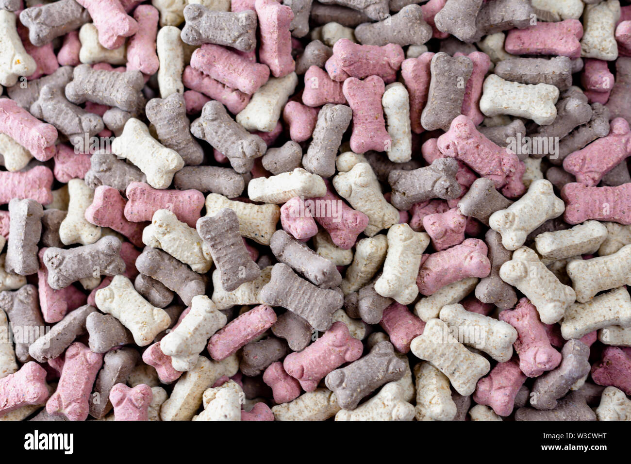 Small animal bones hi-res stock photography and images - Alamy