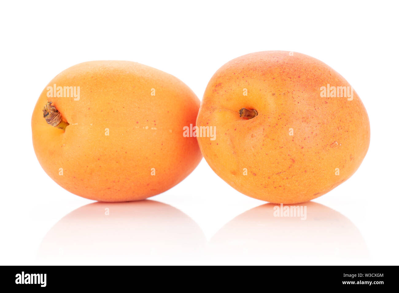 Group of two whole velvety fresh deep orange apricot isolated on white ...