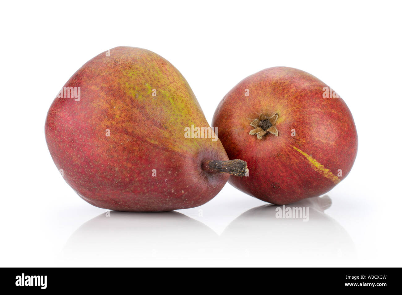 Group of two whole smooth fresh dark red pear anjou isolated on white ...