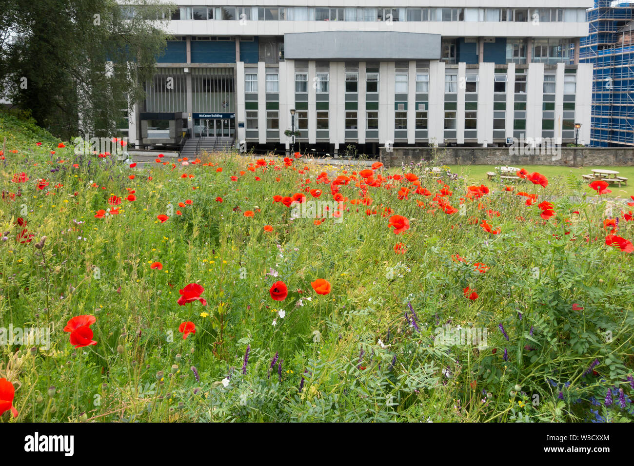 Mccance building hi-res stock photography and images - Alamy