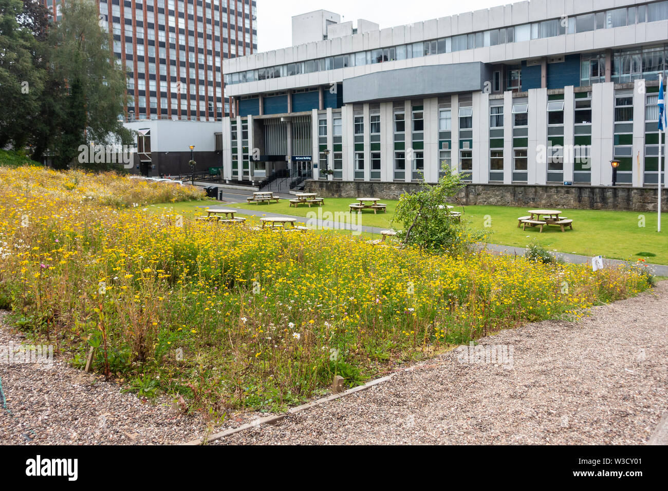 A planted wildflower meadow and picnic area in front of the McCance ...