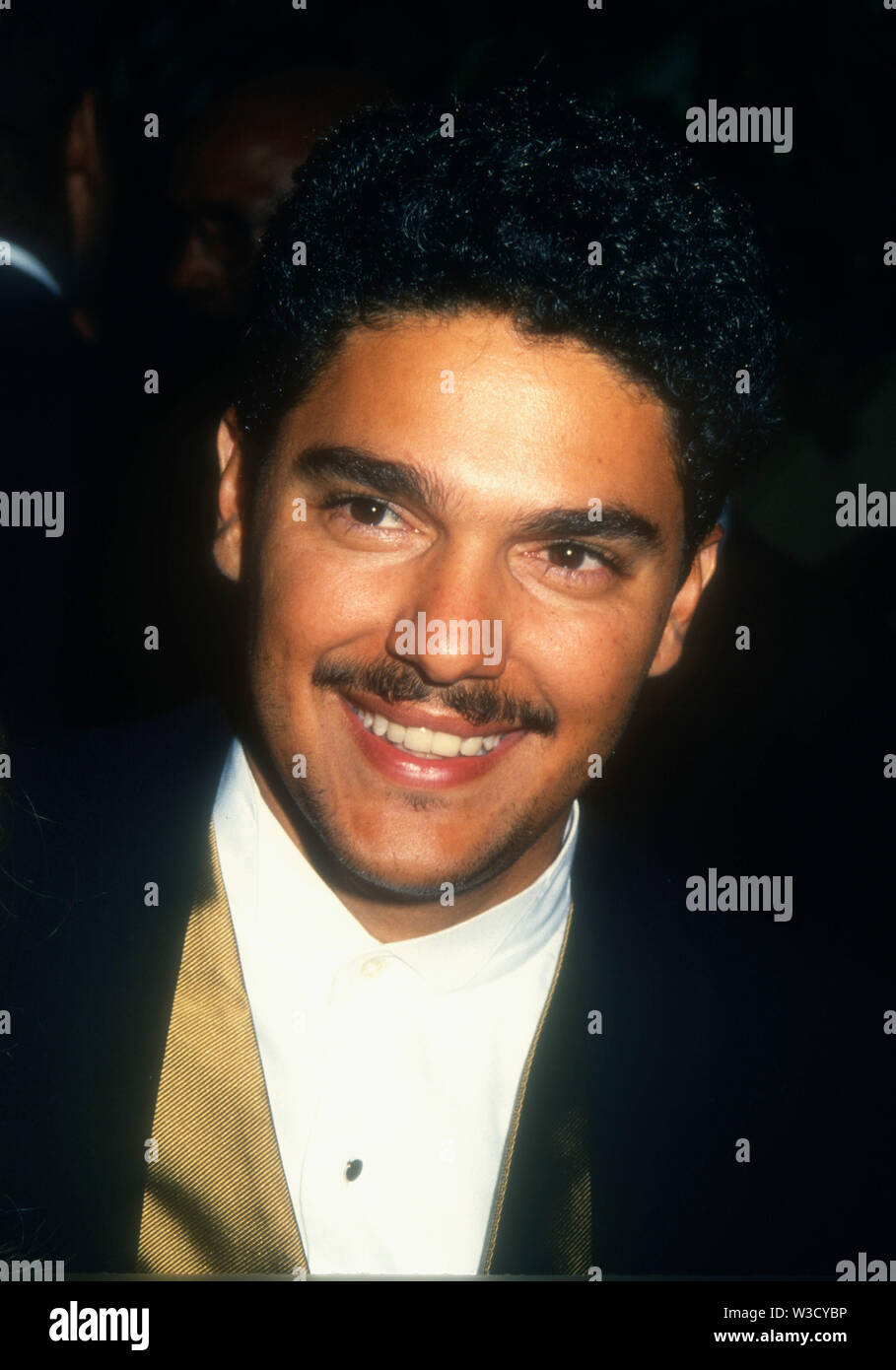 Beverly Hills, California, USA 20th September 1994 Actor Nicholas ...