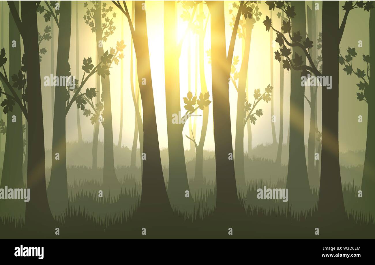 Tree trunks sunset background Stock Vector Image & Art - Alamy