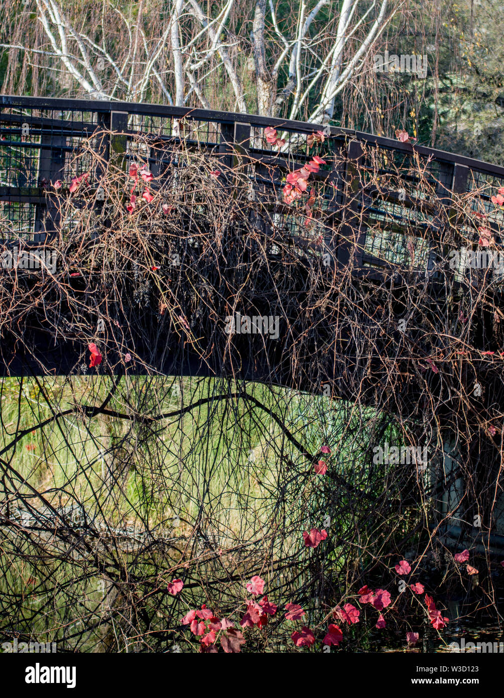 old wood arch bridge in garden Stock Photo - Alamy