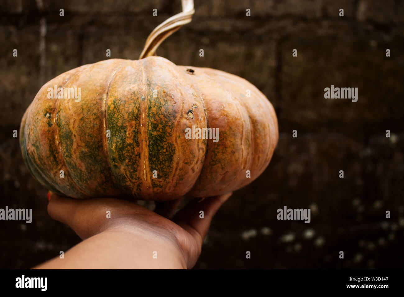 Hand Holding Big Ripe Pumpkin With Stalk Stock Photo - Alamy
