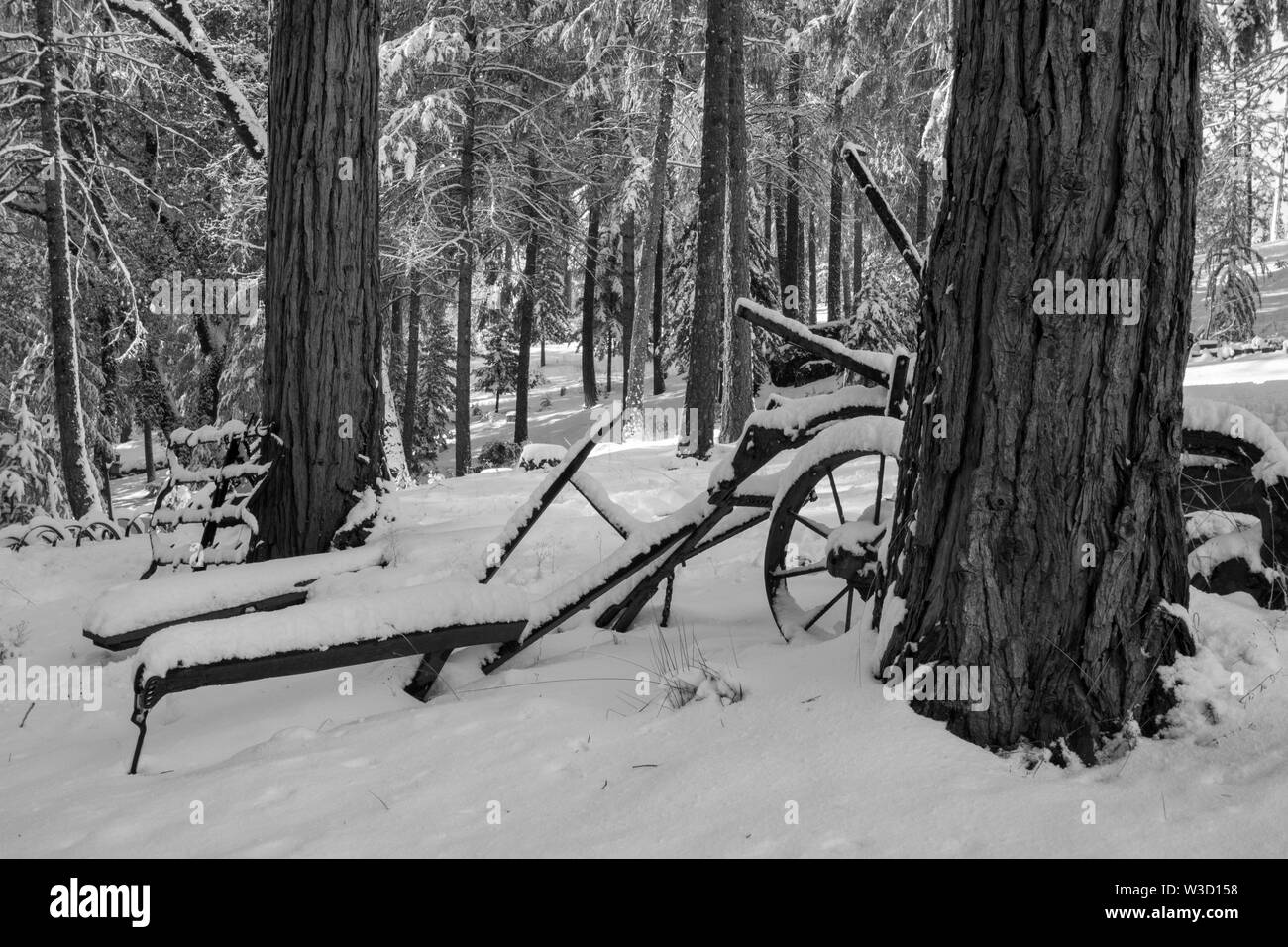 Old farm equipment covered in snow in forest Stock Photo - Alamy